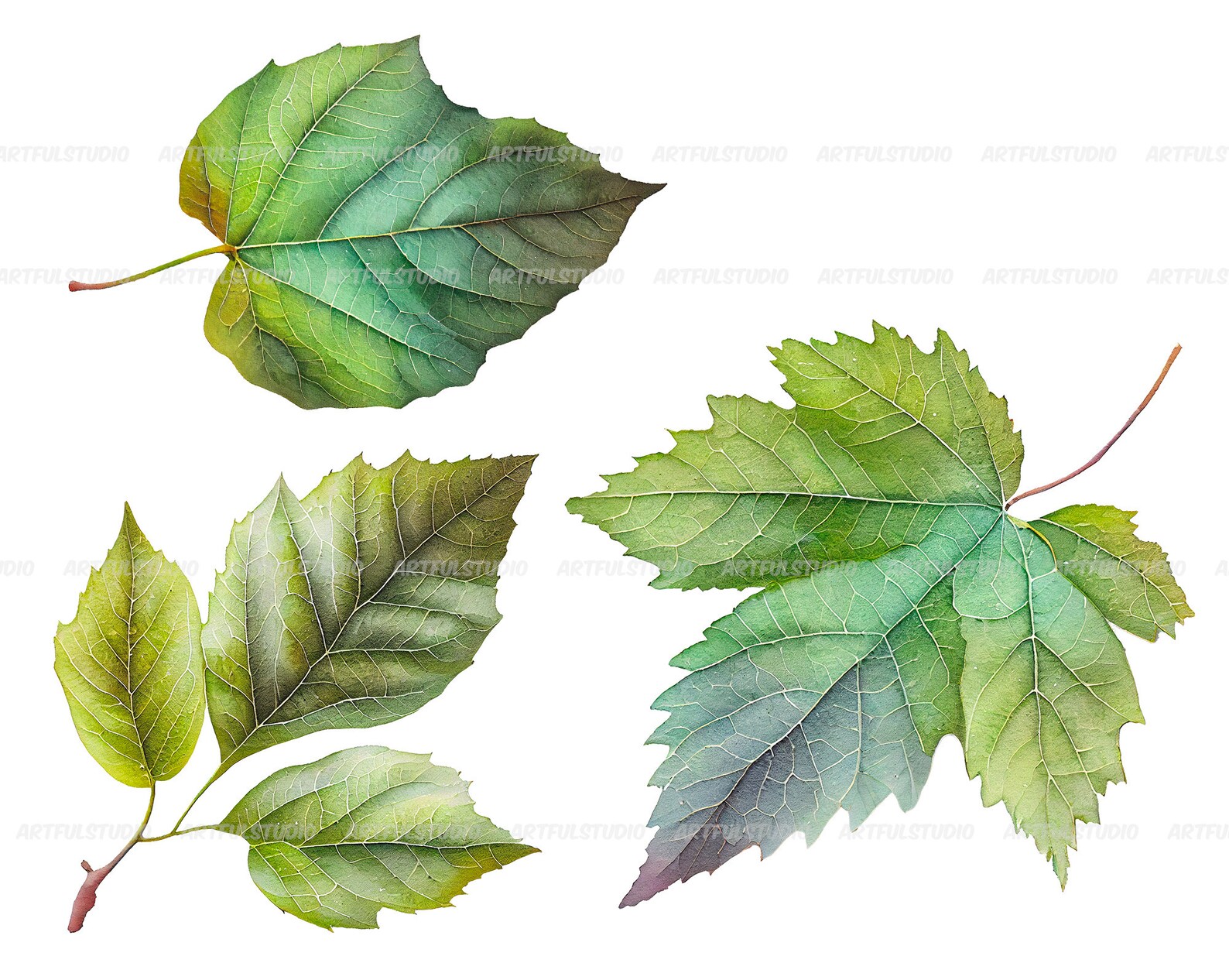 Watercolor Green Leaves Clipart: Botanical Illustration (PNG Digital ...