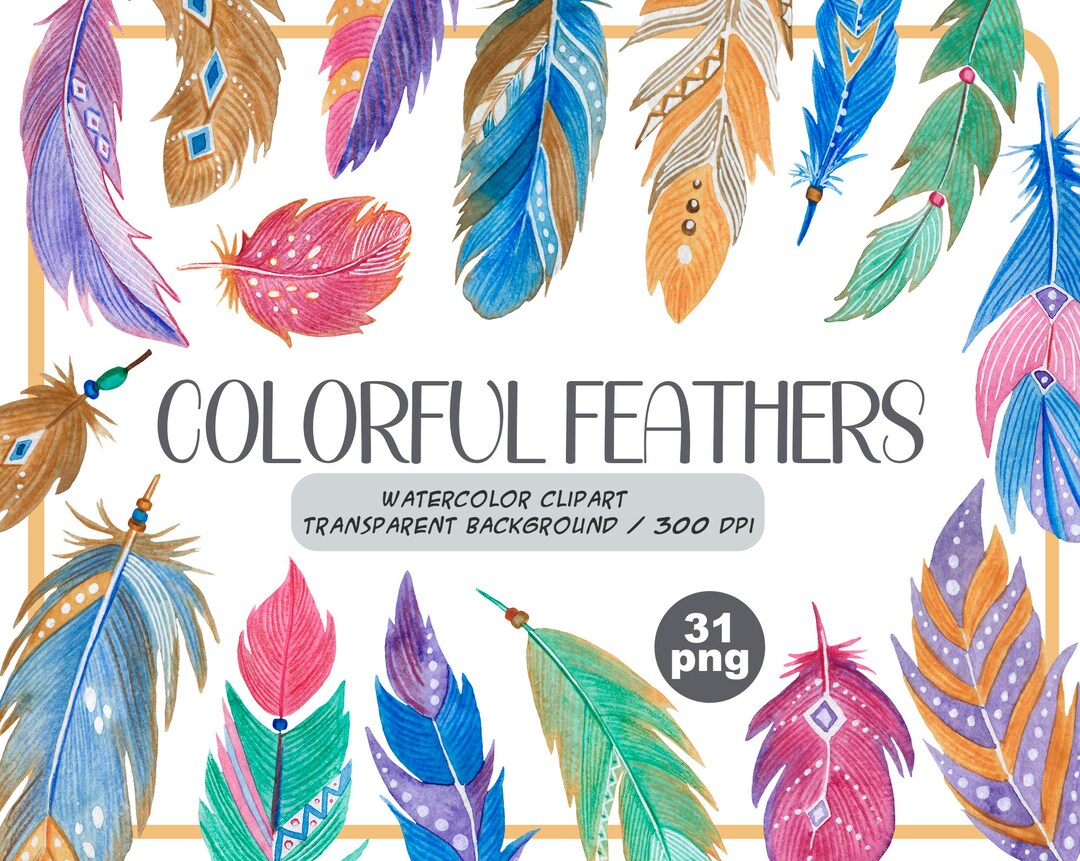 Watercolor Colourful Feathers Clipart - Boho Pastel Illustration PNG ...