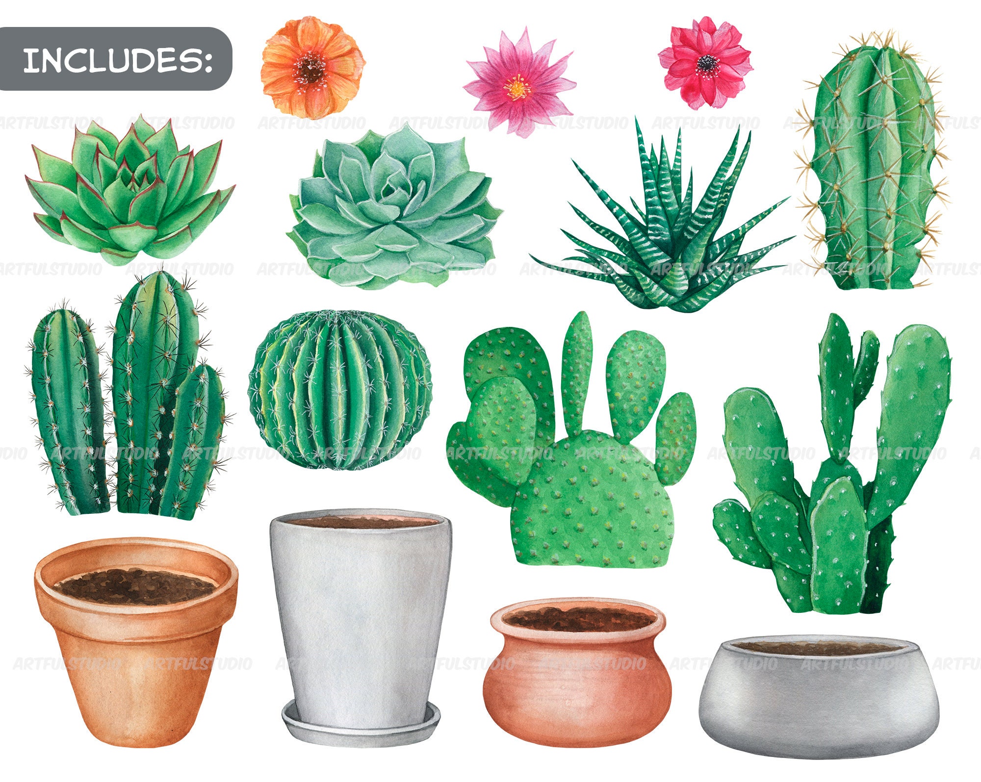 Watercolor Cactus Clipart Set Cute Succulents & Desert Cacti Png ...