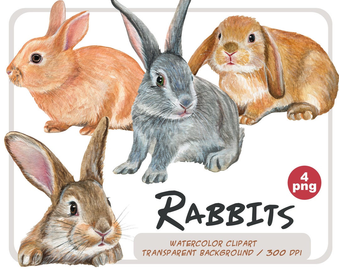 Watercolor Rabbits Clipart-realistic Bunnies Clip Art-decorative Breeds ...
