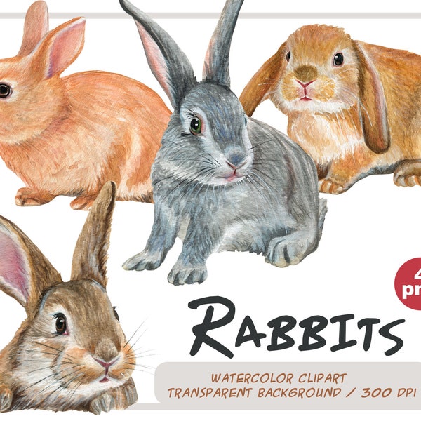 Rabbit Clip Art - Etsy