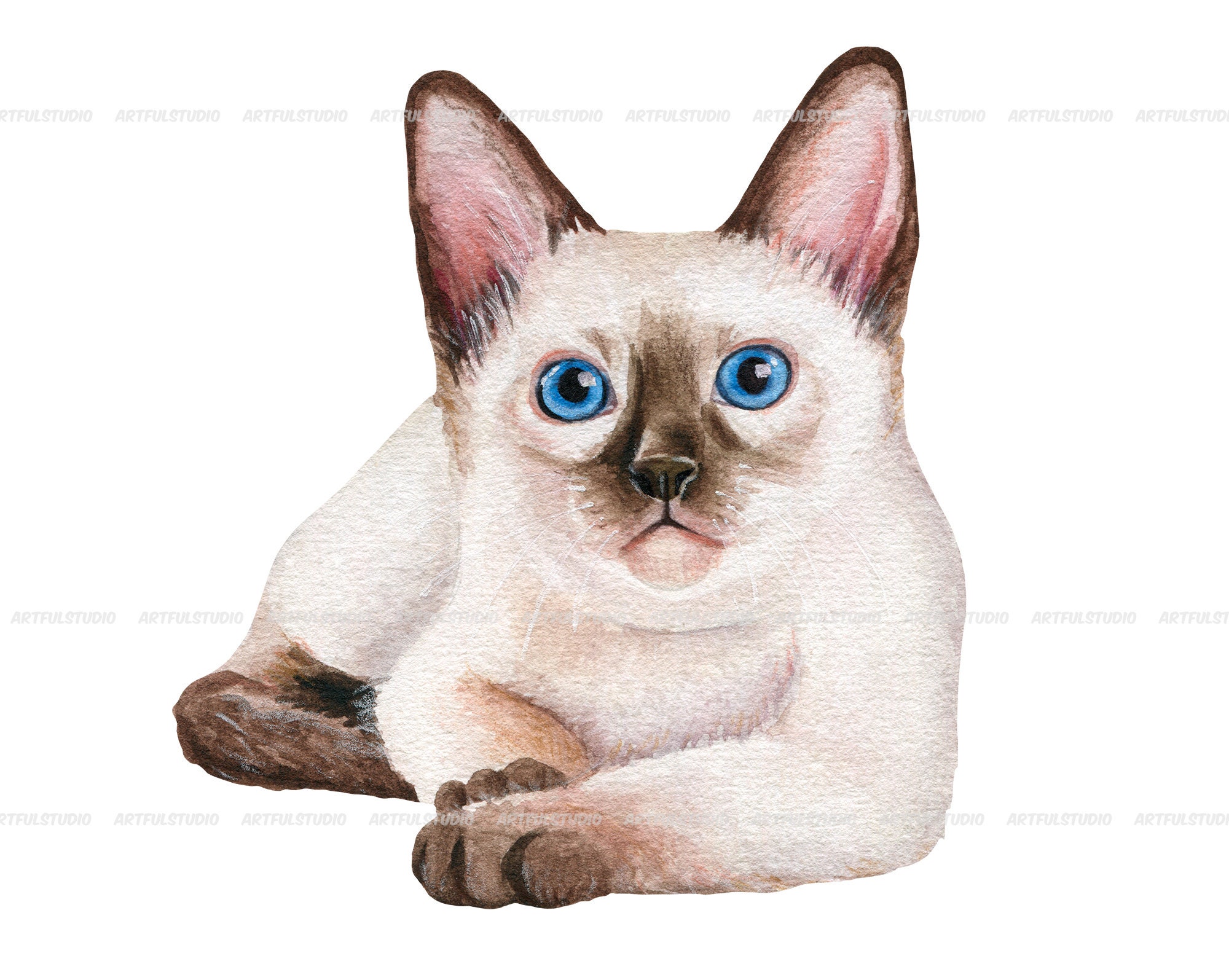 Watercolor Kittens Clipart-realistic Cats Clip Art-maine Coon, British ...