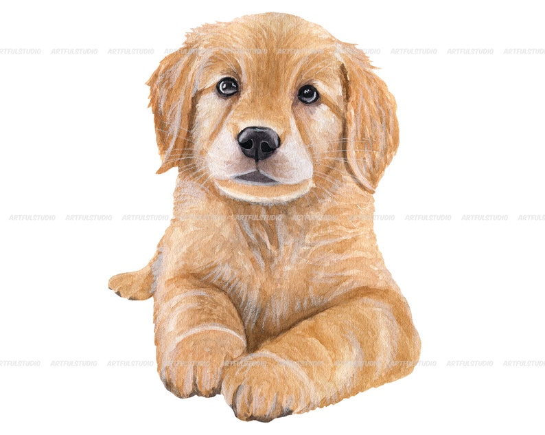 Watercolor Golden Retriever Puppies Clipart-labrador Breed Illustration ...