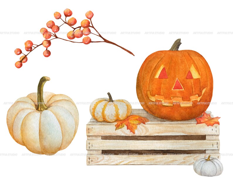 Watercolor Halloween Pumpkin Clipart: Autumn Floral PNG (digital ...