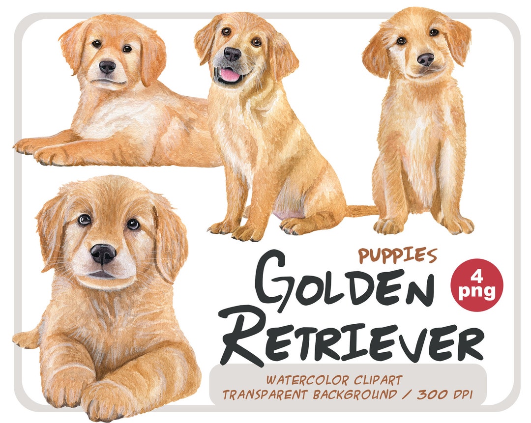 Watercolor Golden Retriever Puppies Clipart-labrador Breed Illustration ...