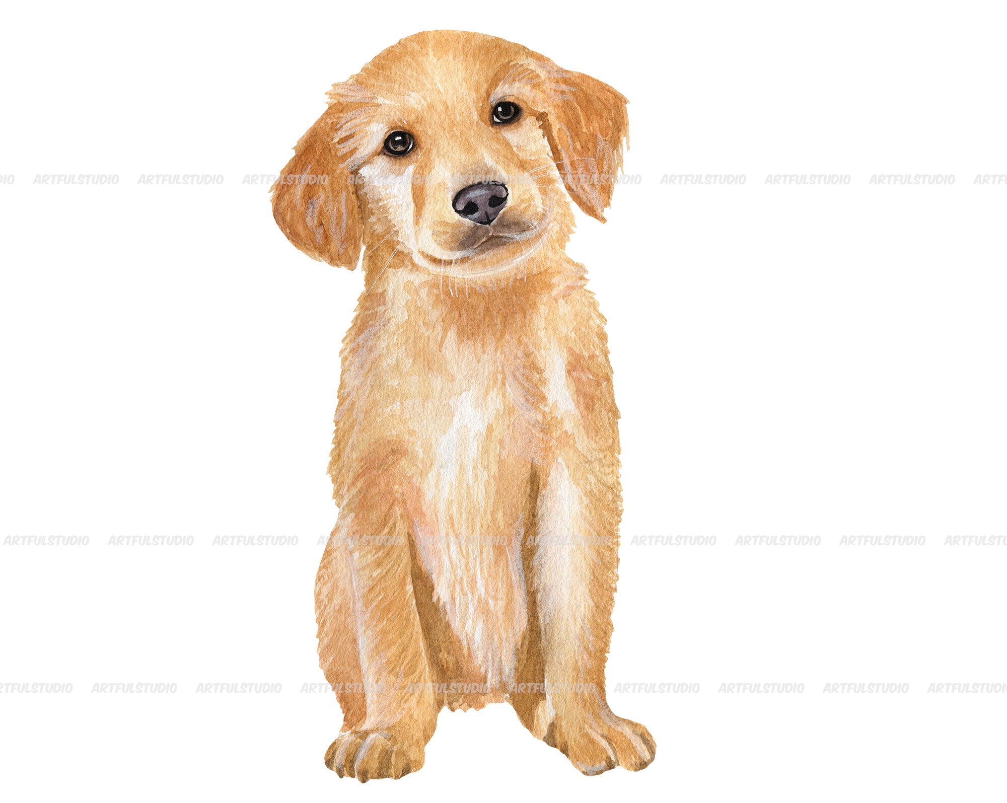 Watercolor Golden Retriever Puppies Clipart-labrador Breed Illustration ...
