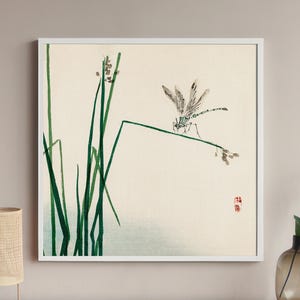 Delicate Japanese Dragonfly Art Print, Minimalistic Green Reed Square ...