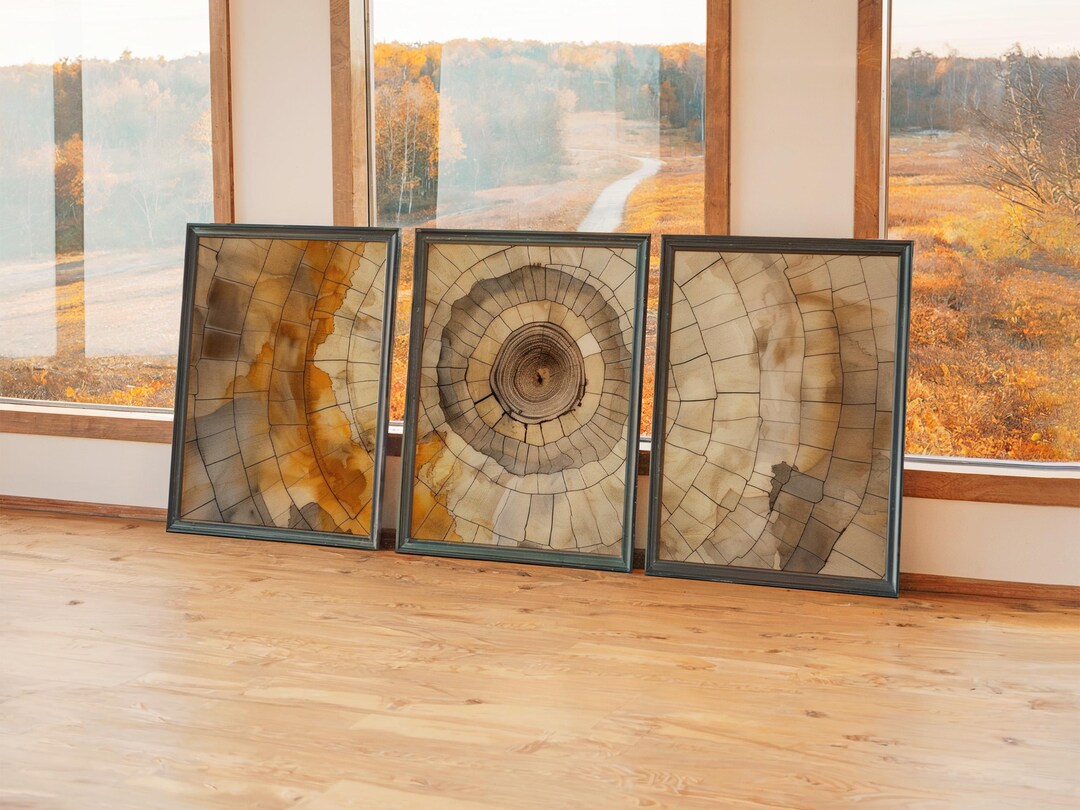 Set of 3 Geometric Tile Wall Art Prints, Segmented Tree Ring Triptych ...