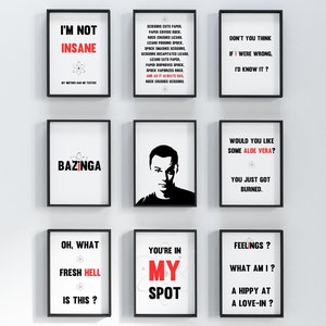 sheldon cooper one liners