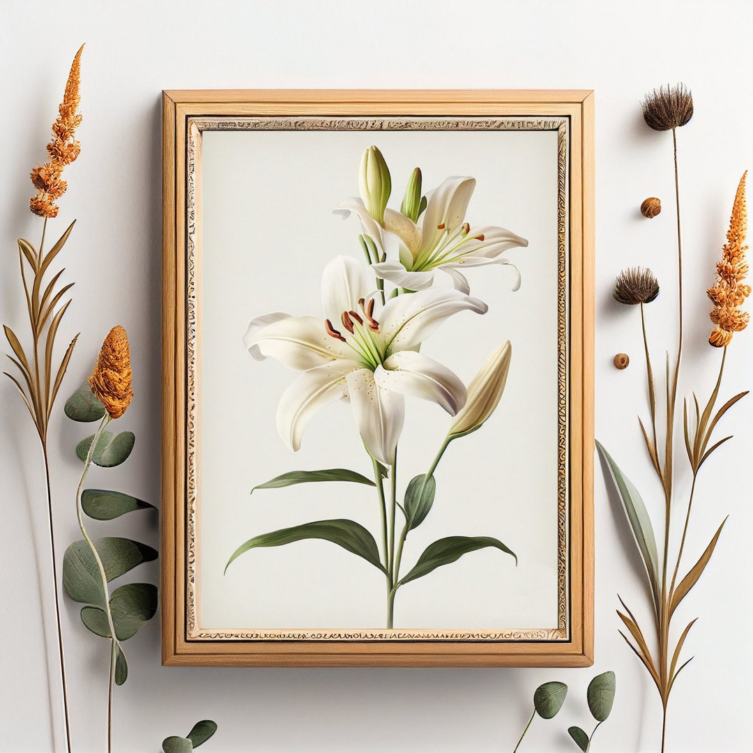 Vintage White Lily Print, Botanical Wall Art, Mid Century Vintage ...