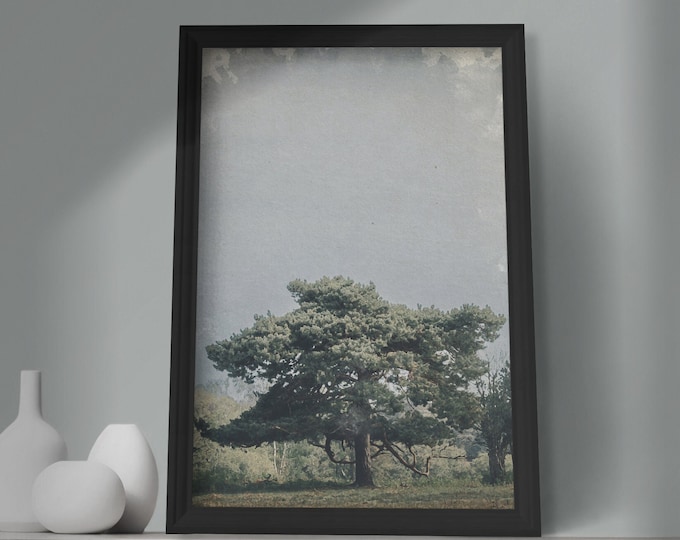 Large Walnut Tree in Field Home Decor Framed Canvas Nature Print Wall ...