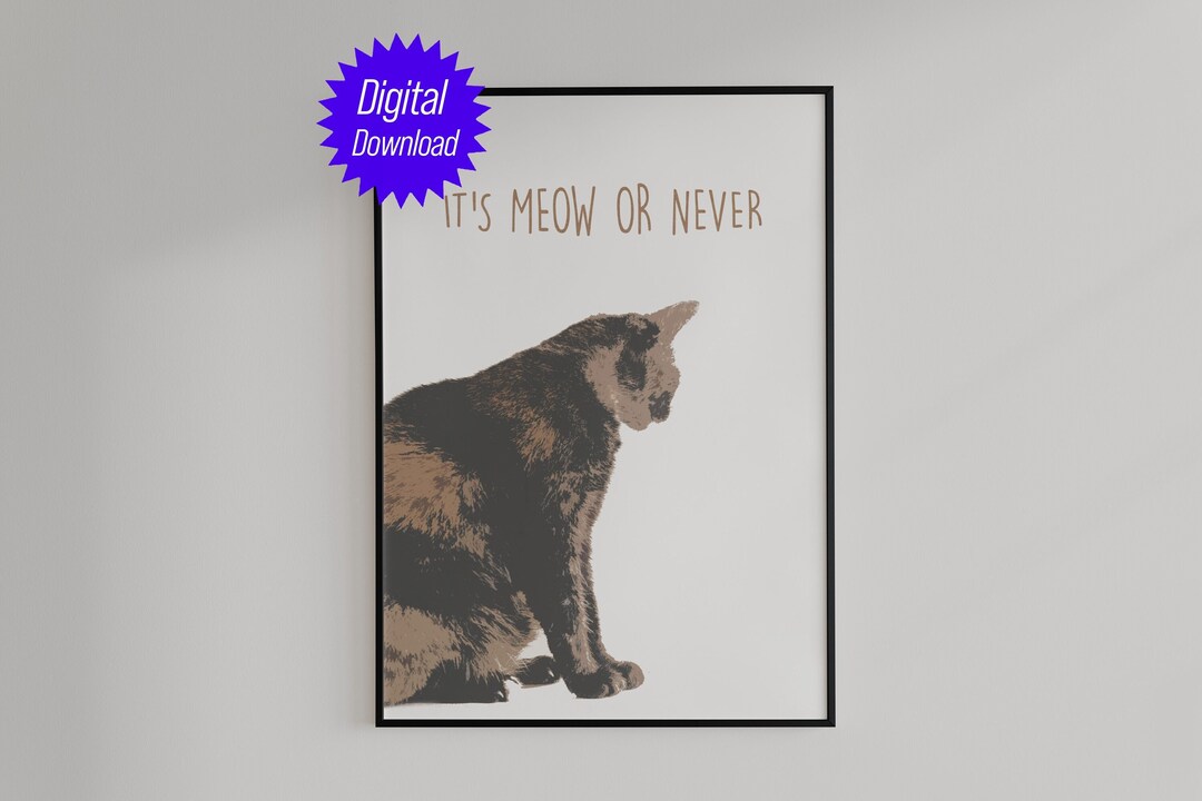 It's Meow or Never - Funny Animal Posters - Cat Lover Gifts - Funny Cat ...