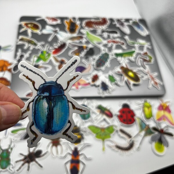 Garden Bugs Stickers - Etsy