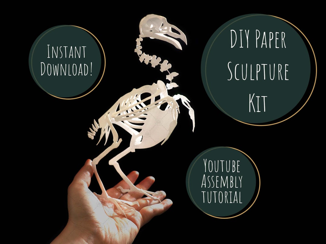 DIY Bird Skeleton Papercraft Activity Kit | 3D Crow Paper Sculpture PDF ...