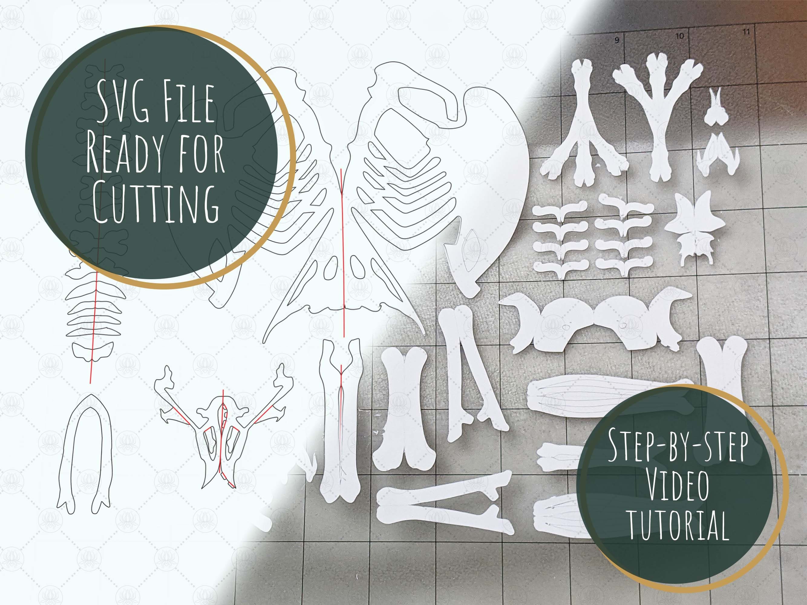DIY Bird Skeleton Papercraft Activity Kit | 3D Crow Paper Sculpture PDF ...