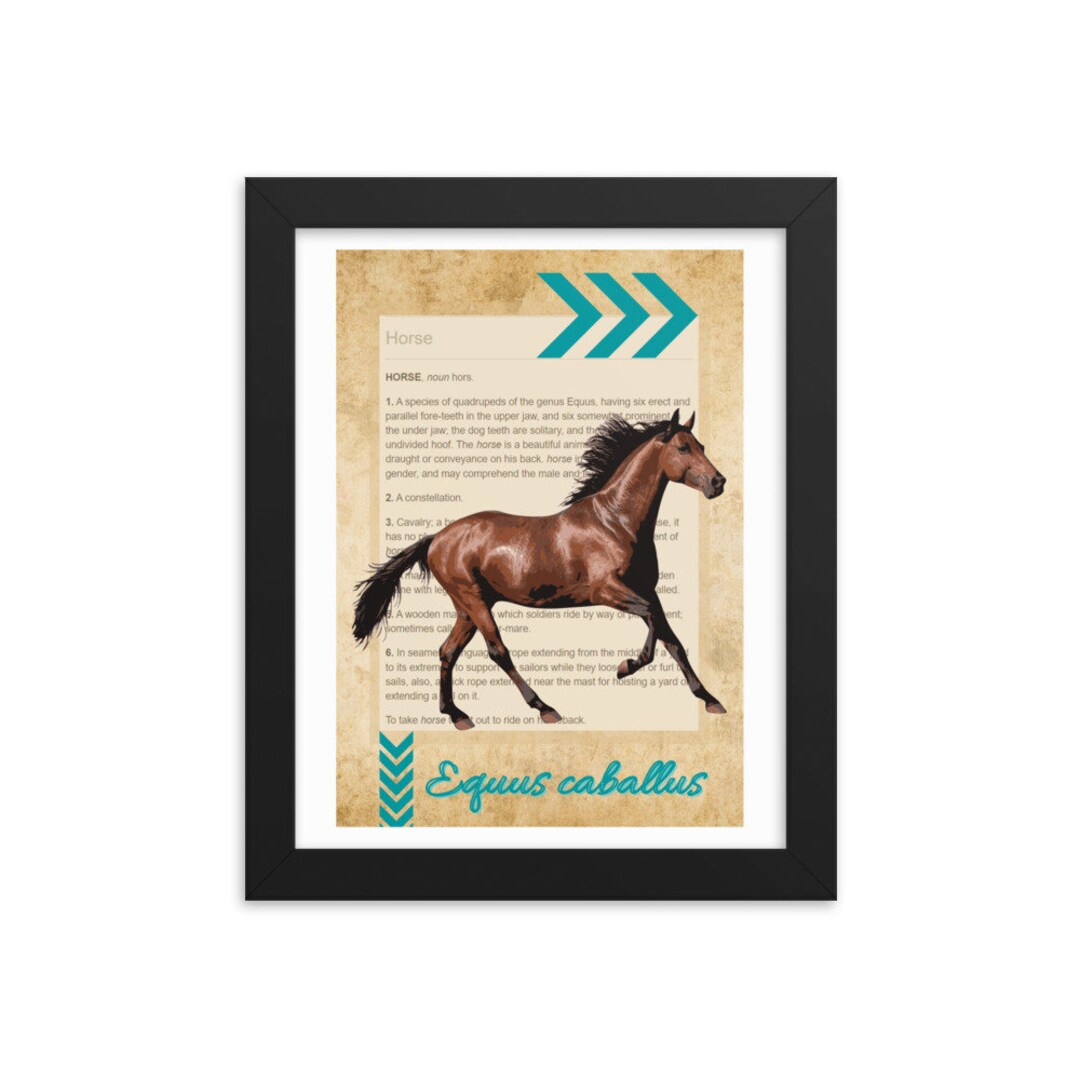 Country Western Horse Dictionary Print - Etsy