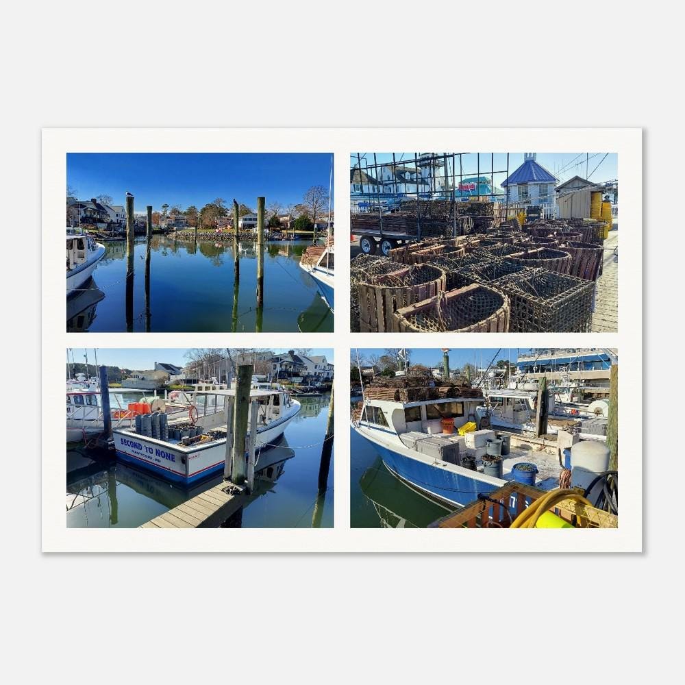 Rudee Inlet Marina, Virginia Beach, VA Museum Quality Matte Paper ...