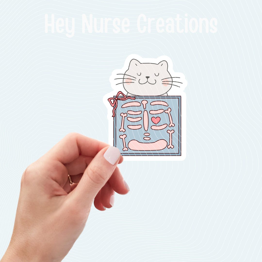 Cat Scan Pun Sticker: Funny Healthcare Gift - Etsy