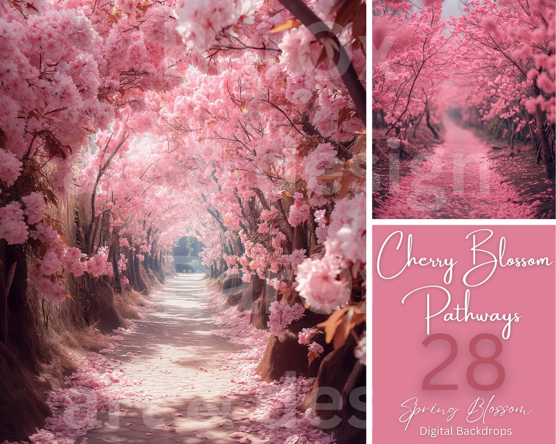 Dreamy Cherry Blossom Digital Backdrop Maternity Backdrop Overlays ...
