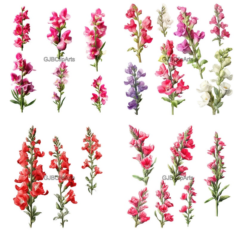 Snapdragon Flower Clipart, Journaling Printables, Scrapbookers Tote ...
