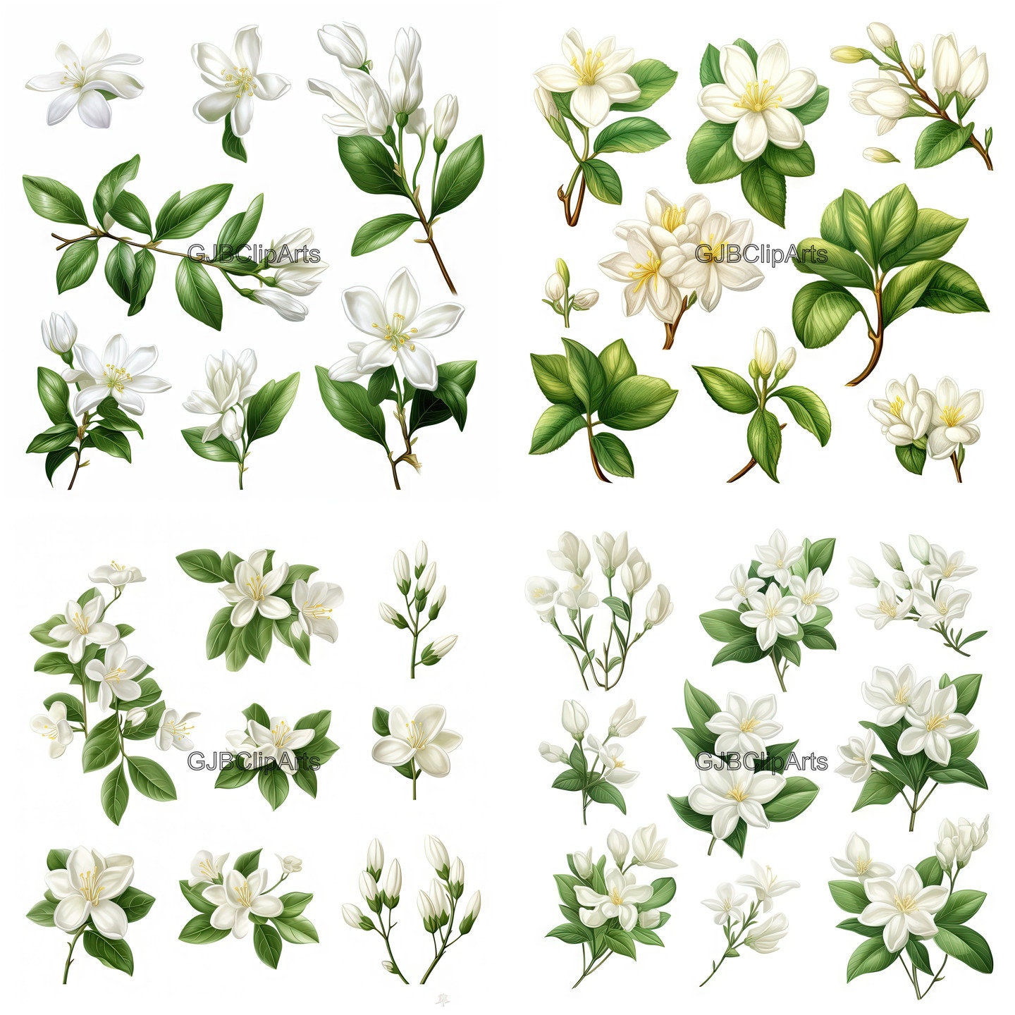 Jasmine Flower Clipart, Journaling Kit Printable, Scrapbooking Ephemera ...