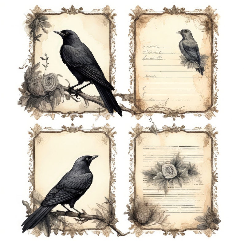 Raven Ornamental Card Clipart Mystic Symbols Clipart Full Moon Clipart ...