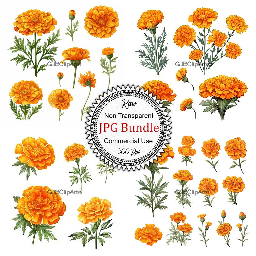 Marigold Flower Clipart , Scrapbook Stickers, Junk Journals Supplies ...