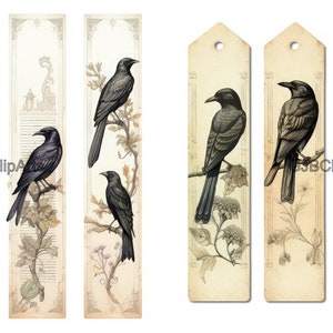 Raven Ornamental Bookmark Clipart Moon Clipart Branch Clipart ...