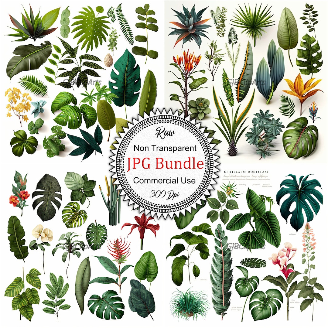 Tropical Plants Collection Lush and Exotic Watercolor Illustrations ...