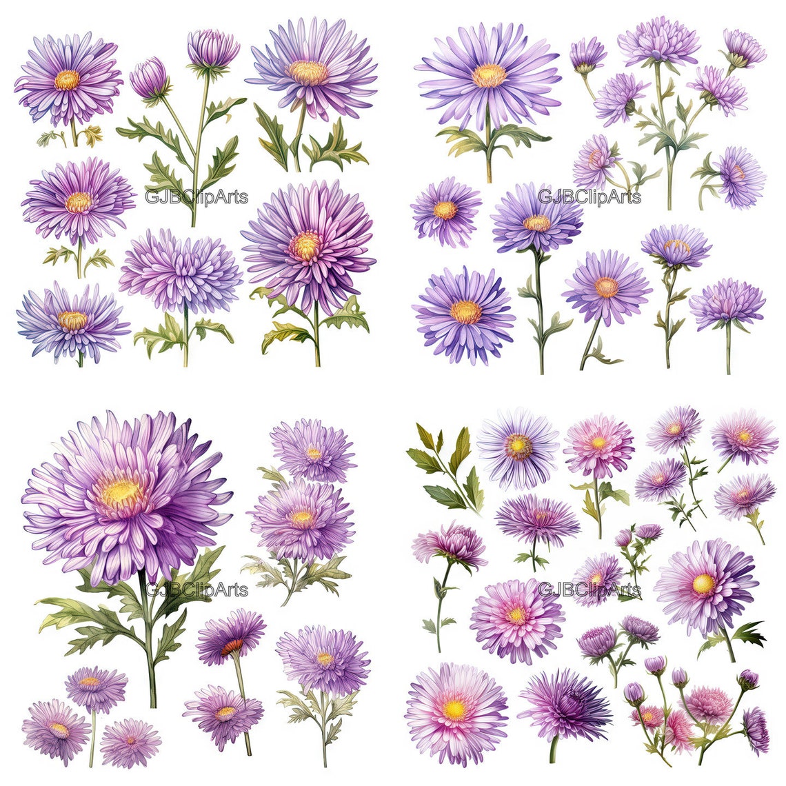 Aster Clipart Digital Stickers, Digital Clipart, Printable Stickers ...