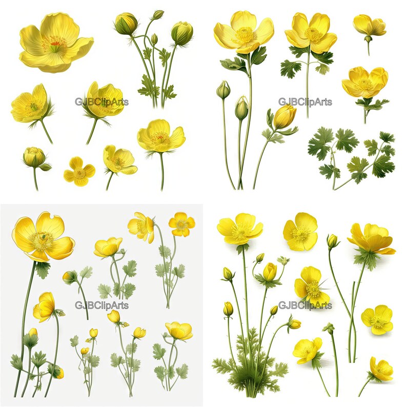 Buttercup Clipart Digital Stickers, Digital Clipart, Printable Stickers ...