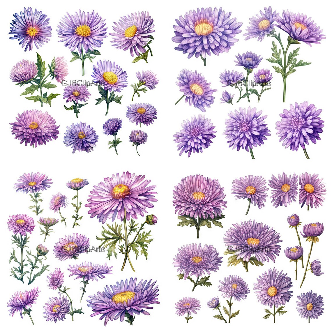 Aster Clipart Digital Stickers, Digital Clipart, Printable Stickers ...