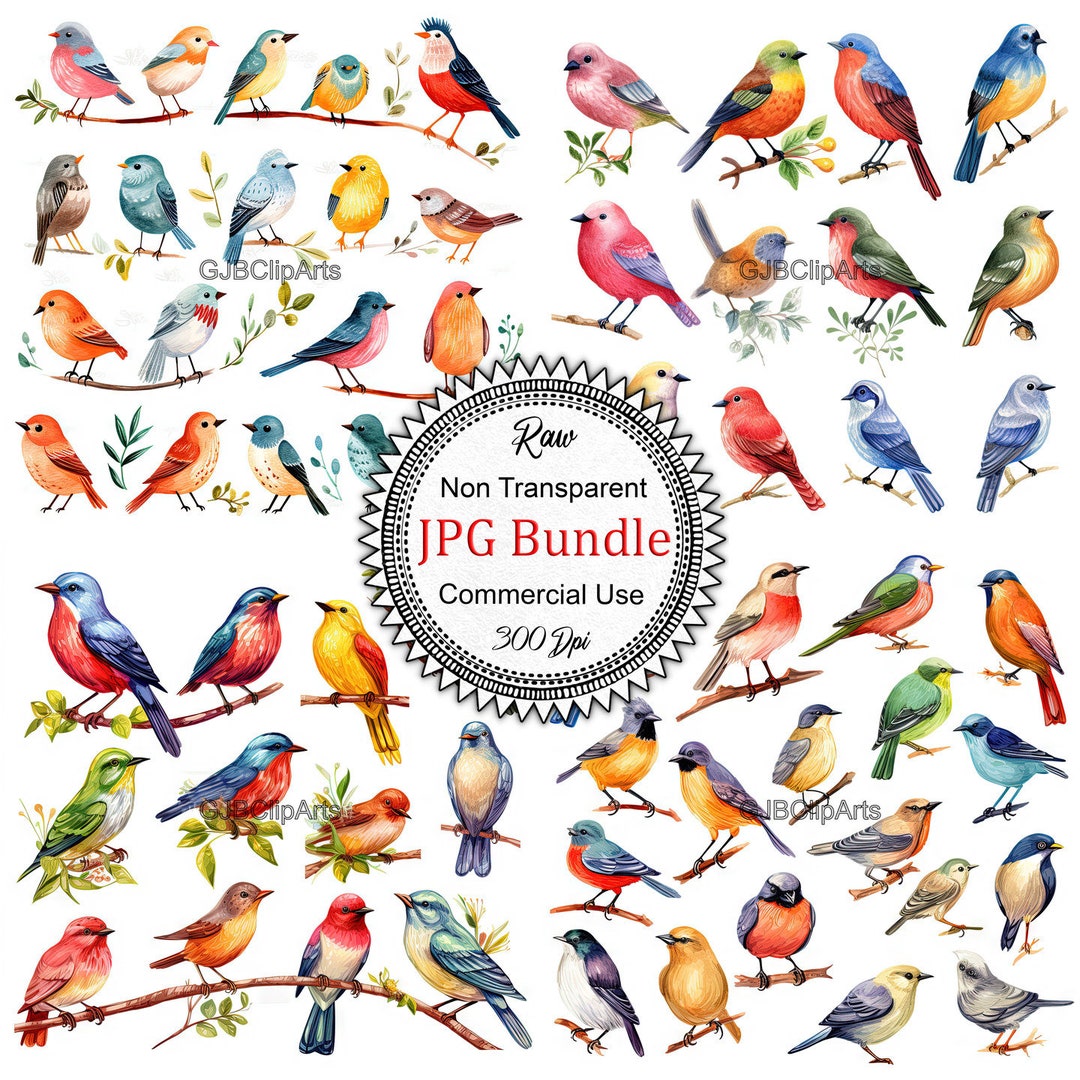 Bird Clipart Digital Stickers, Digital Clipart, Printable Stickers ...