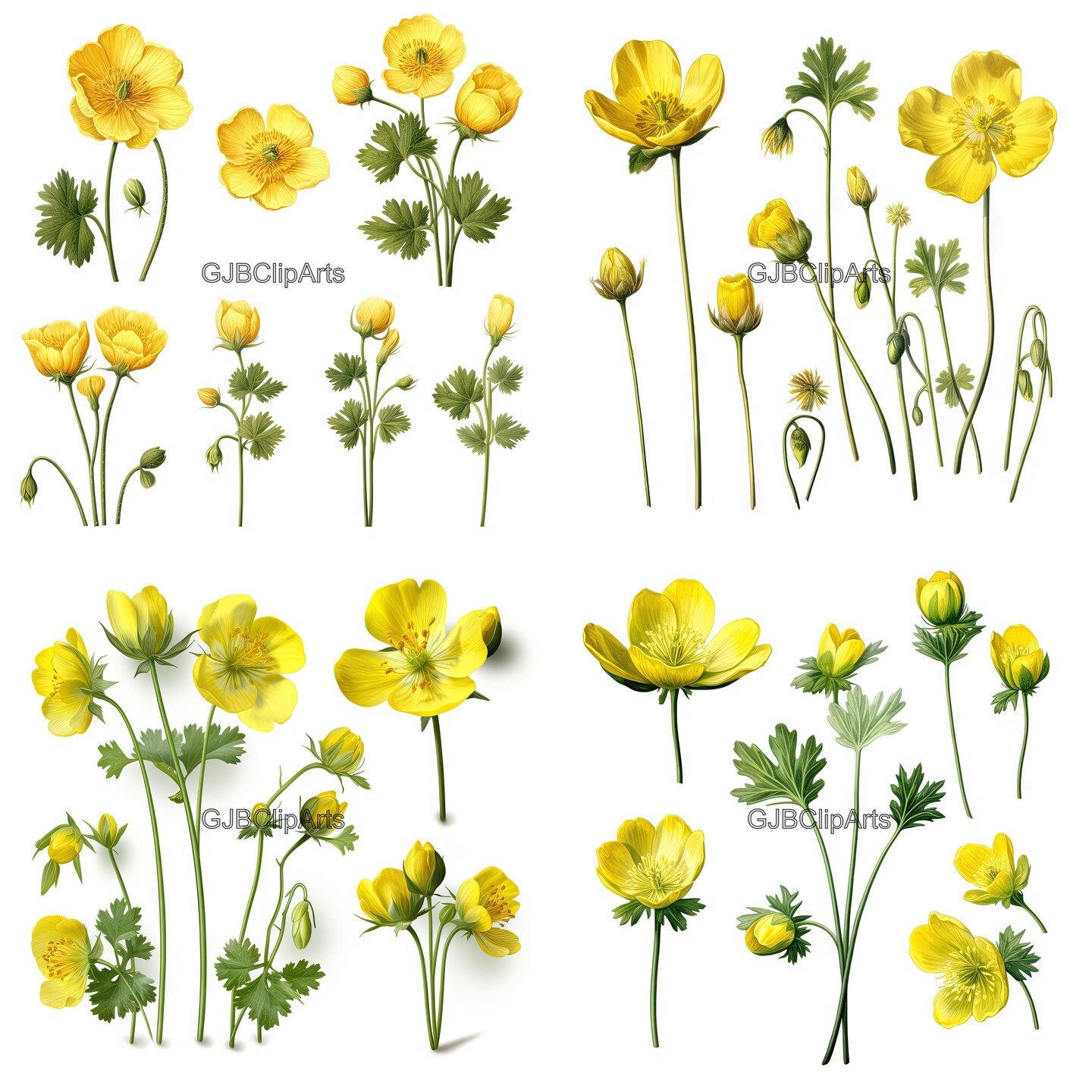 Buttercup Clipart Digital Stickers, Digital Clipart, Printable Stickers ...
