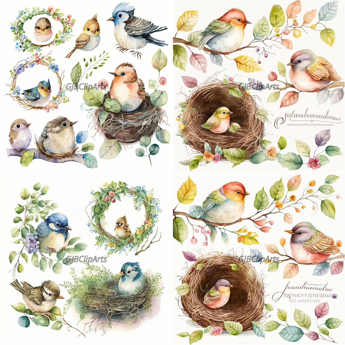 Baby Birds in a Nest Watercolor Collection: Charming Clip Art Designs ...