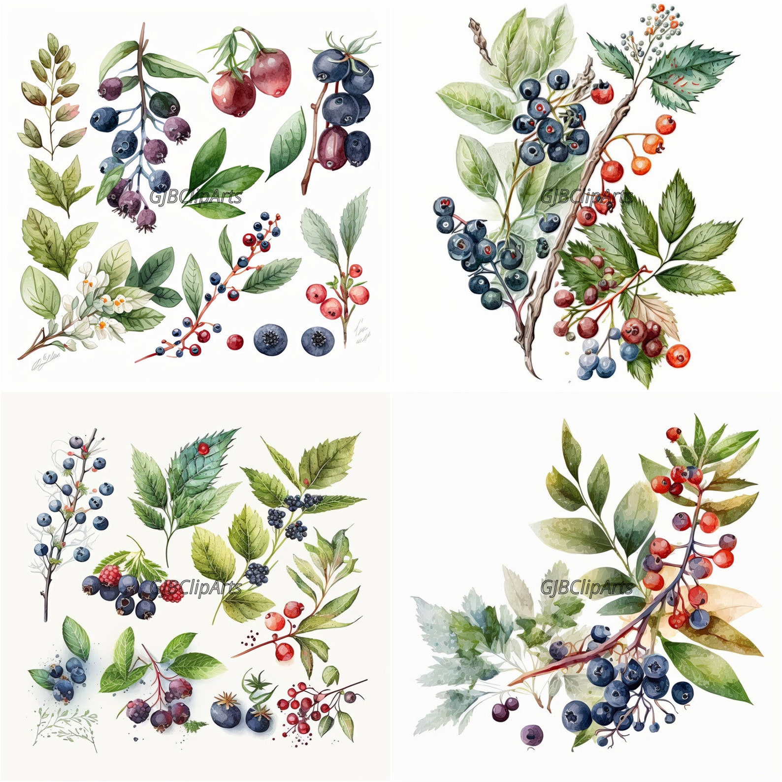 Delightful Berries Clipart: Fresh Fruit Illustrations, Watercolor, High ...