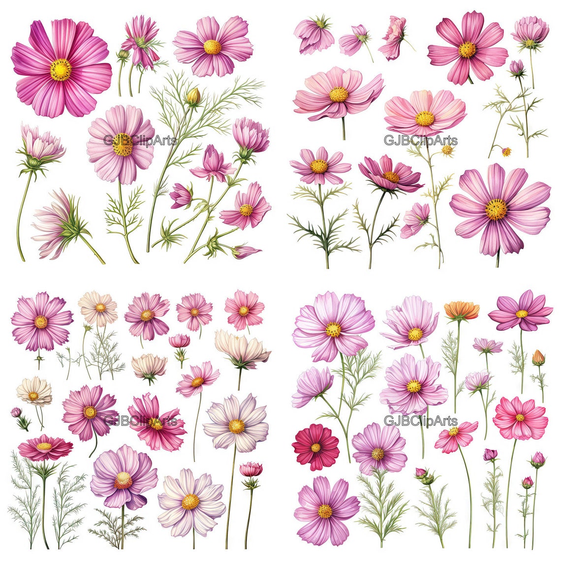 Cosmos Clipart Collection Hypnotic White Background Clipart - Etsy