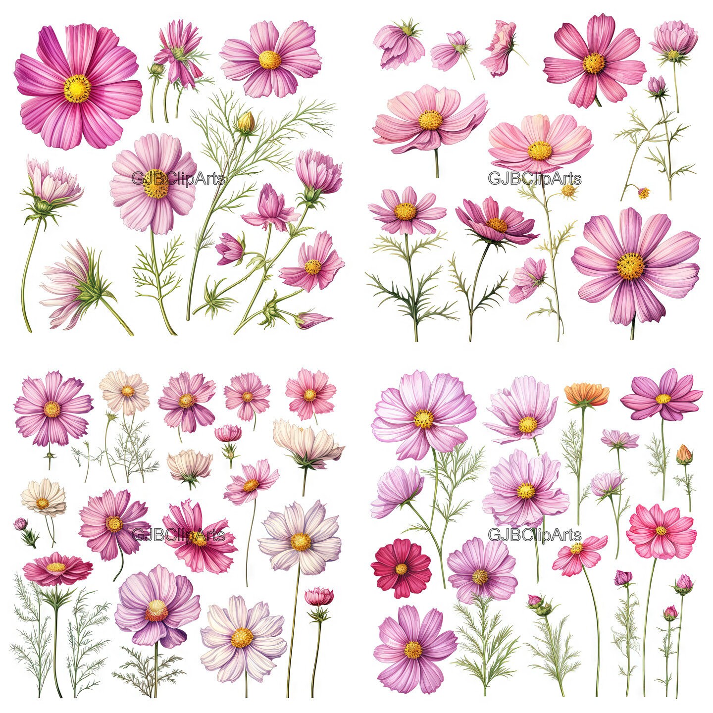Cosmos Clipart Collection, Hypnotic White Background Clipart ...