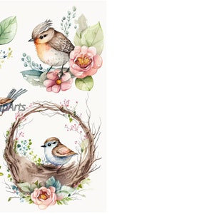Baby Birds in a Nest Watercolor Collection: Charming Clip Art Designs ...