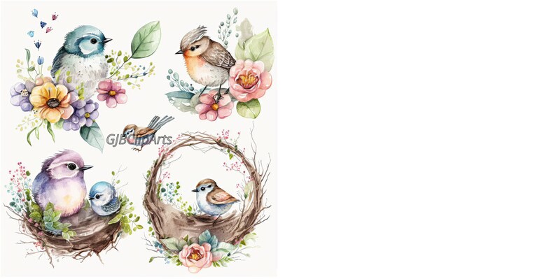 Baby Birds in a Nest Watercolor Collection: Charming Clip Art Designs ...