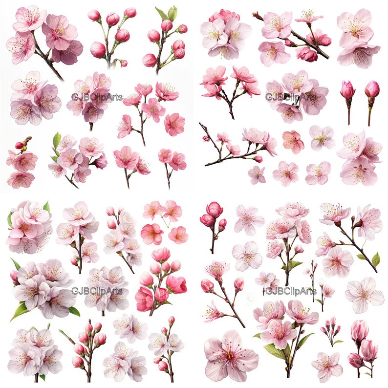 Cherry Blossom Clipart Digital Stickers, Digital Clipart, Printable ...