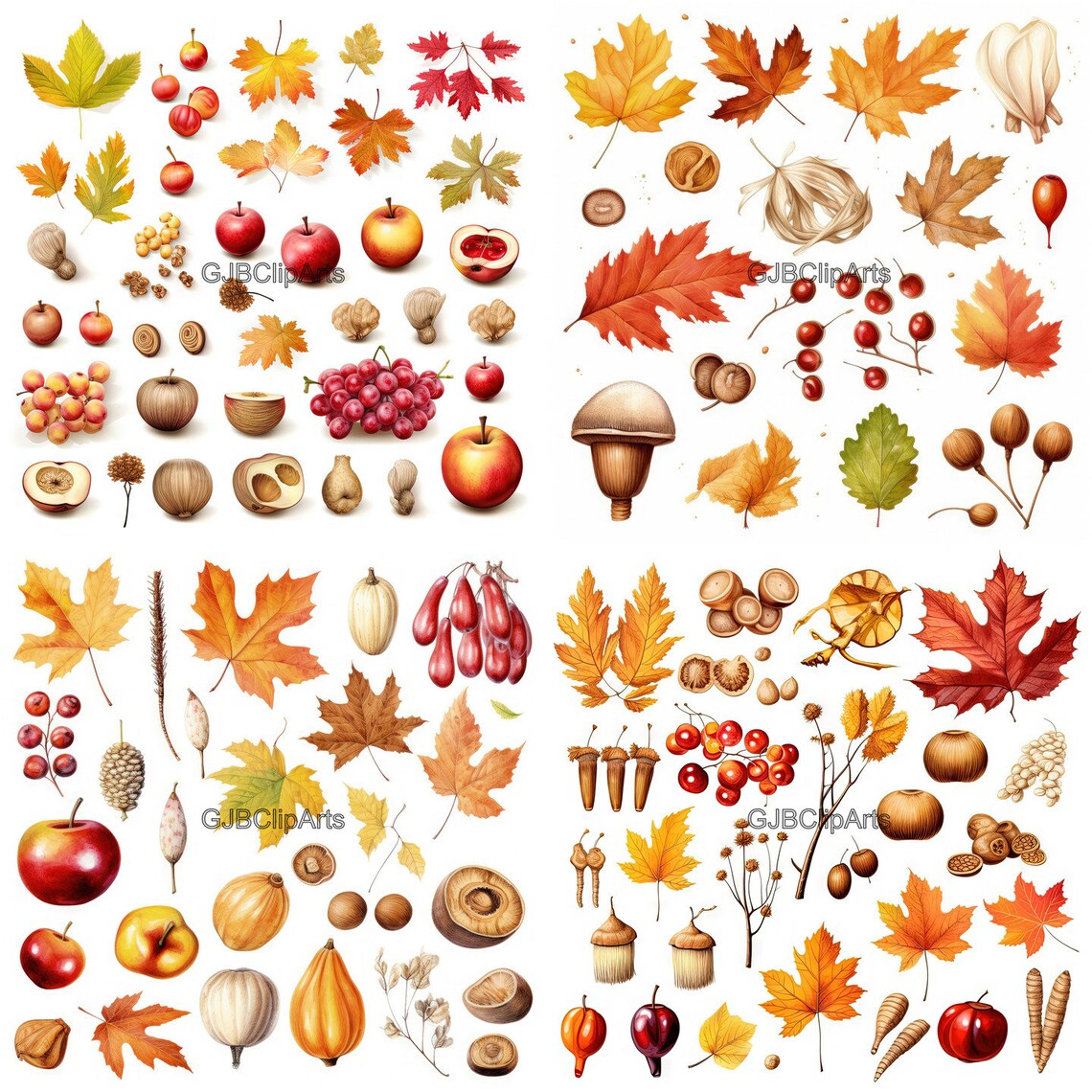 Autumnal Equinox Events Clipart, Harvest Clipart, Leaf Clipart ...
