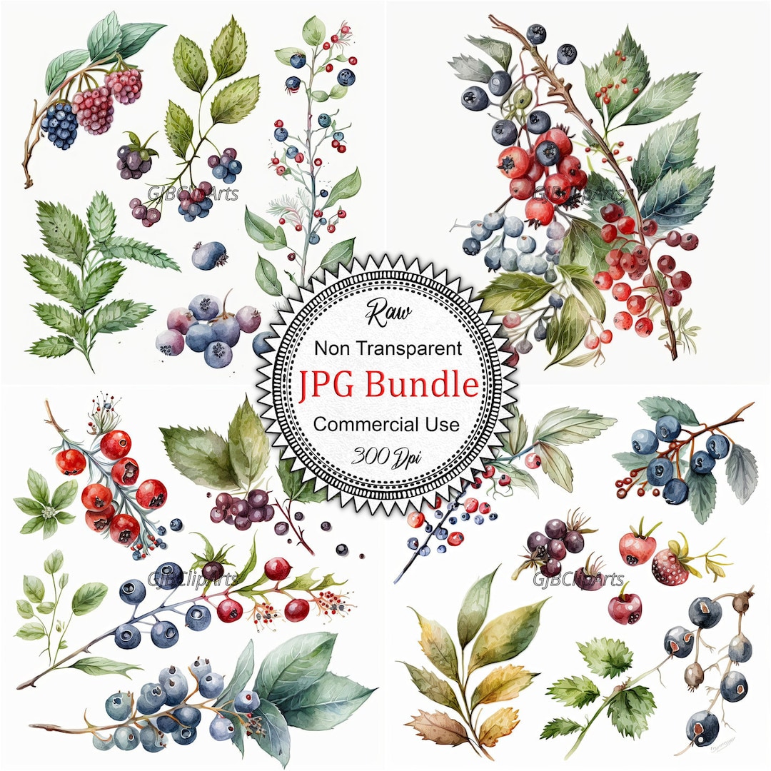 Delightful Berries Clipart: Fresh Fruit Illustrations, Watercolor, High ...