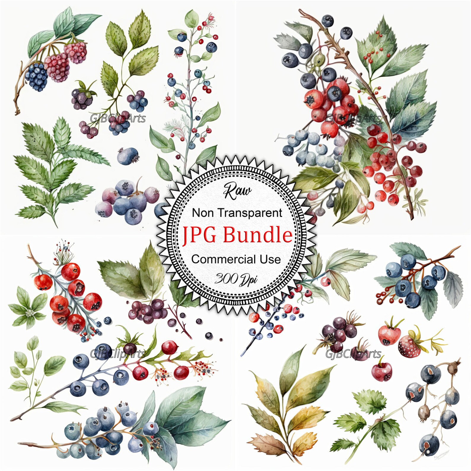 Delightful Berries Clipart: Fresh Fruit Illustrations, Watercolor, High ...