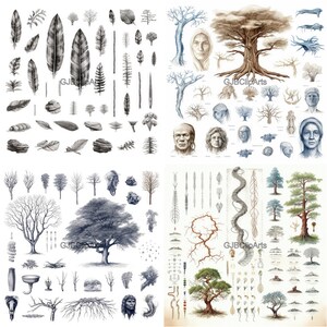 Ancestry Trace Clipart, Family Tree Clipart, Vintage Photo Clipart ...