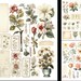 Vintage Printable Floral Junk Journal Kit Clipart, Flower Clipart ...