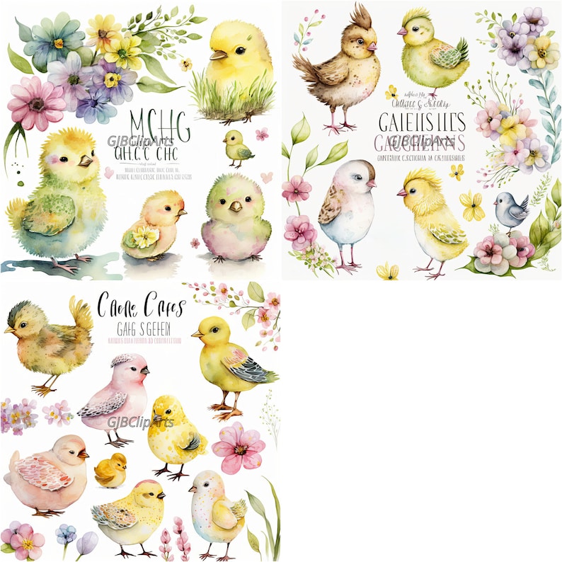 Spring Chicks Watercolor Collection:delightful Clip Art - Etsy