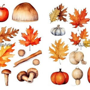 Fall Themed Watercolor Clipart, Pumpkin Clipart, Autumn Clipart, Leaf ...