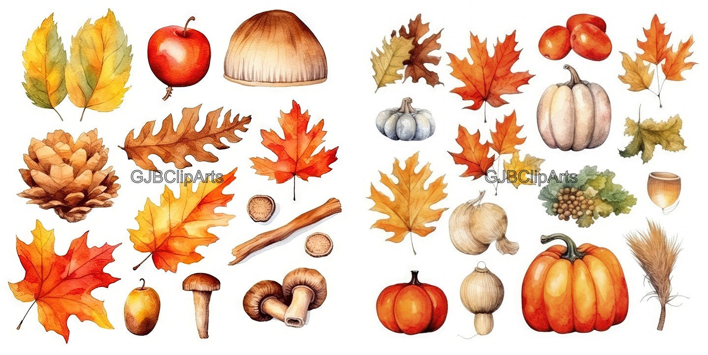 Fall Themed Watercolor Clipart, Pumpkin Clipart, Autumn Clipart, Leaf ...