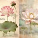 Ephemera Lotus Clipart Digital Stickers, Digital Clipart, Printable ...